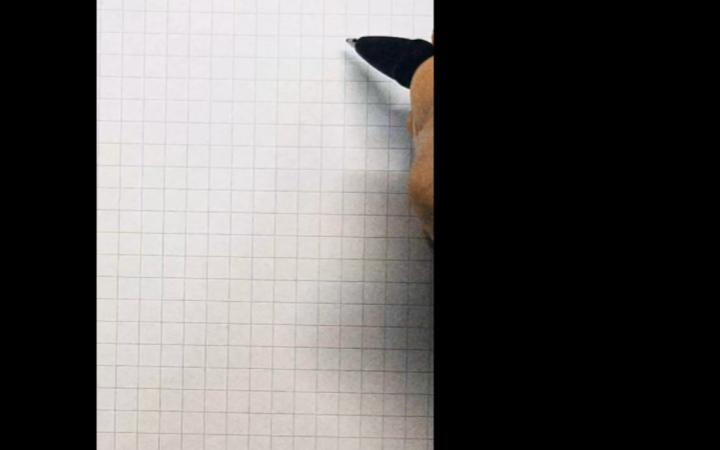 热爱写字、热爱生活。