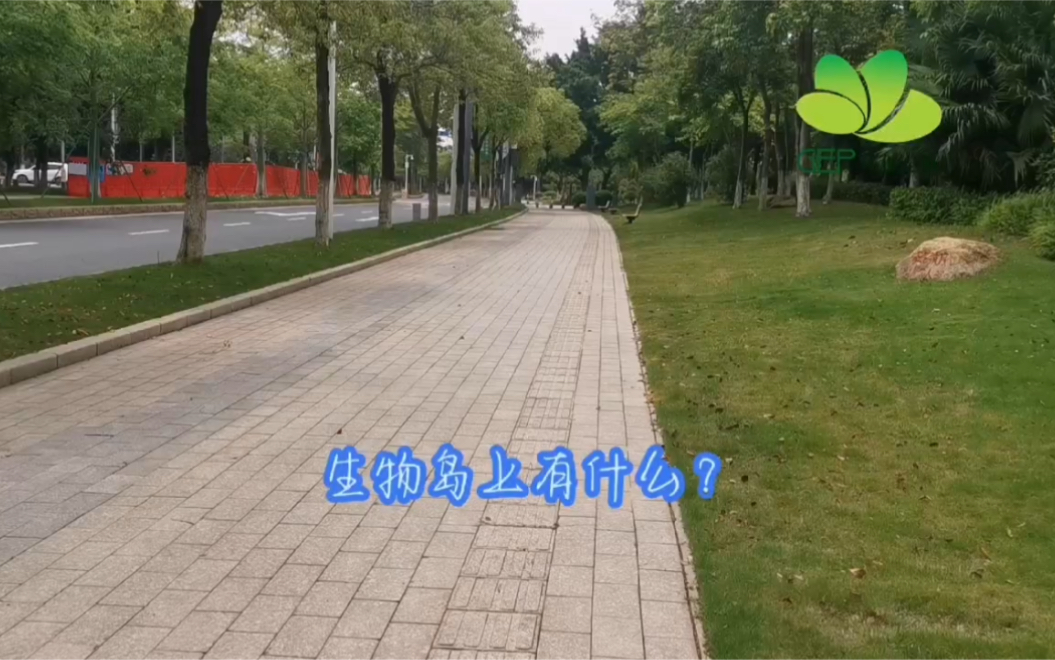 生物多样性-生物岛