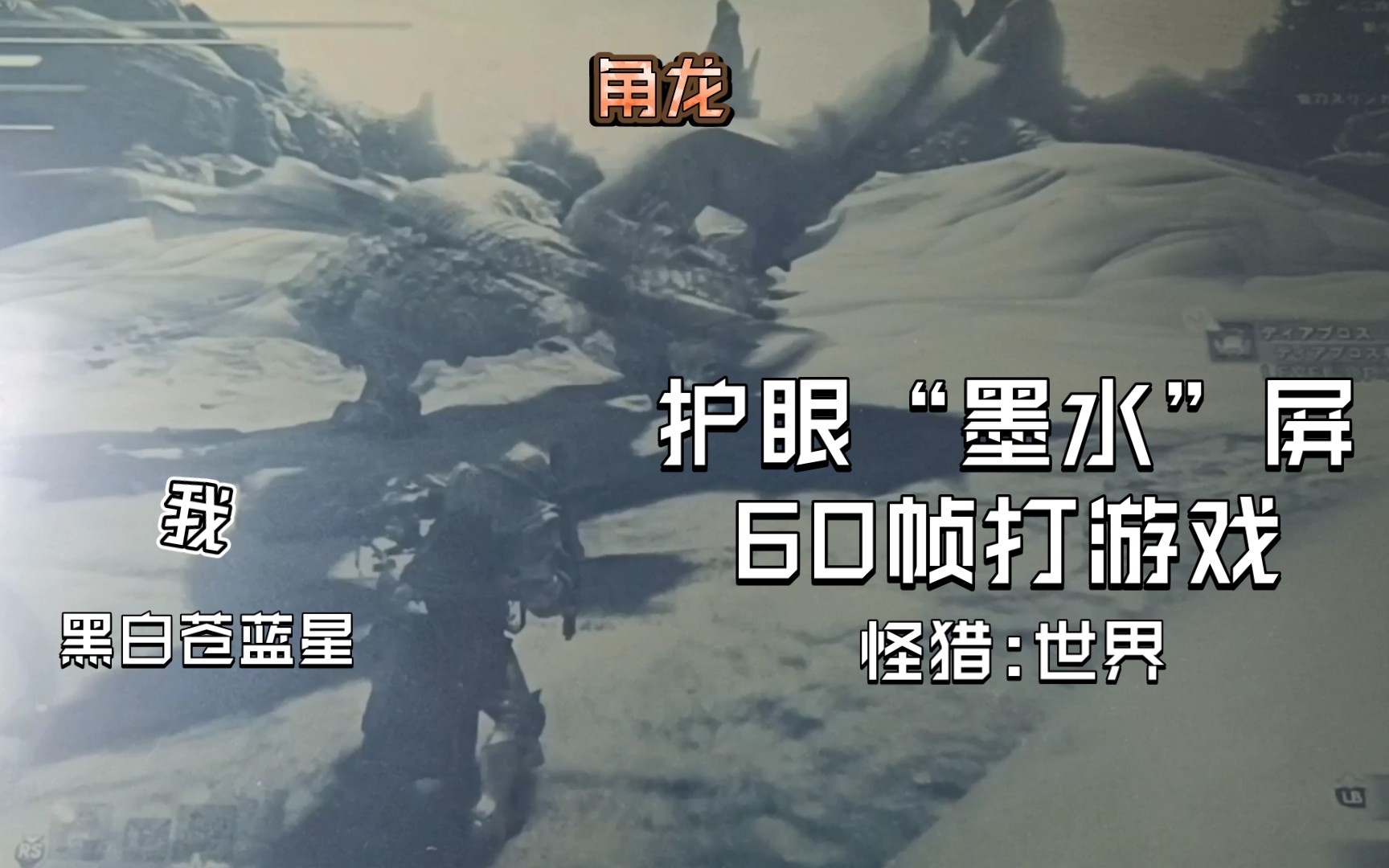 【游戏】黑白60帧“墨水屏”游戏体验 - RLCD屏玩怪物猎人世界