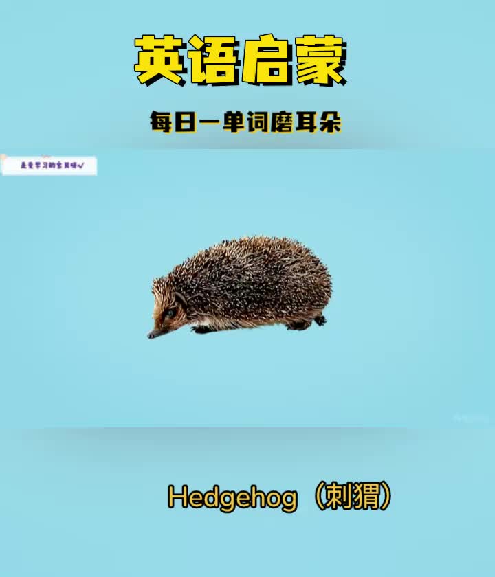 ...| 英语启蒙,每日一单词ߒ�孩子磨耳朵#英语启蒙 #英语启蒙动画 #英...
