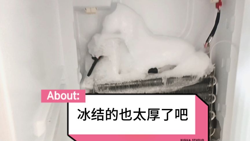风冷冰箱维修过程,风道结冰故障分析,冷冻室除霜工作原理