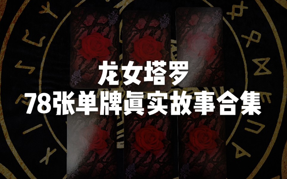 【龙女塔罗】78张塔罗单牌真实故事系列合集