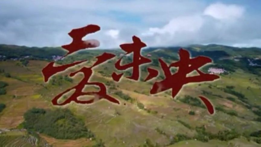 一部具有商业观赏性和艺术片思想内涵的电影,推荐给您看