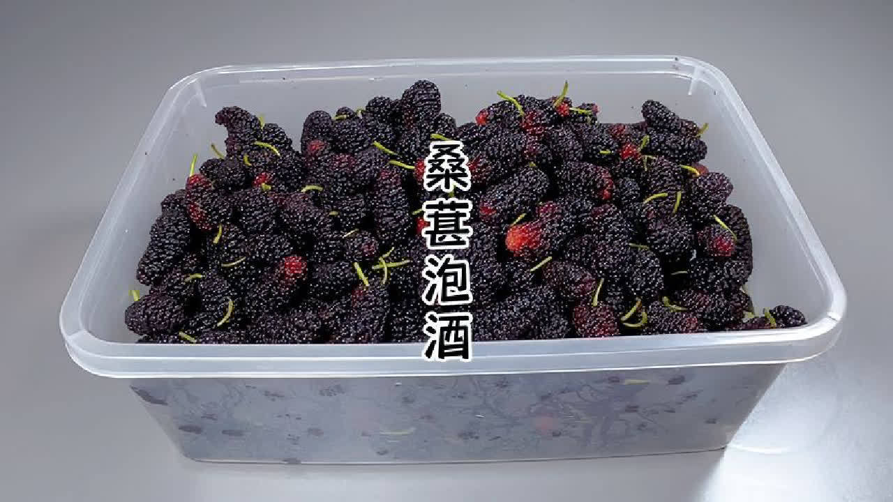 20年酒坊老板传授桑葚泡酒的方法,营养不流失,越久越醇香