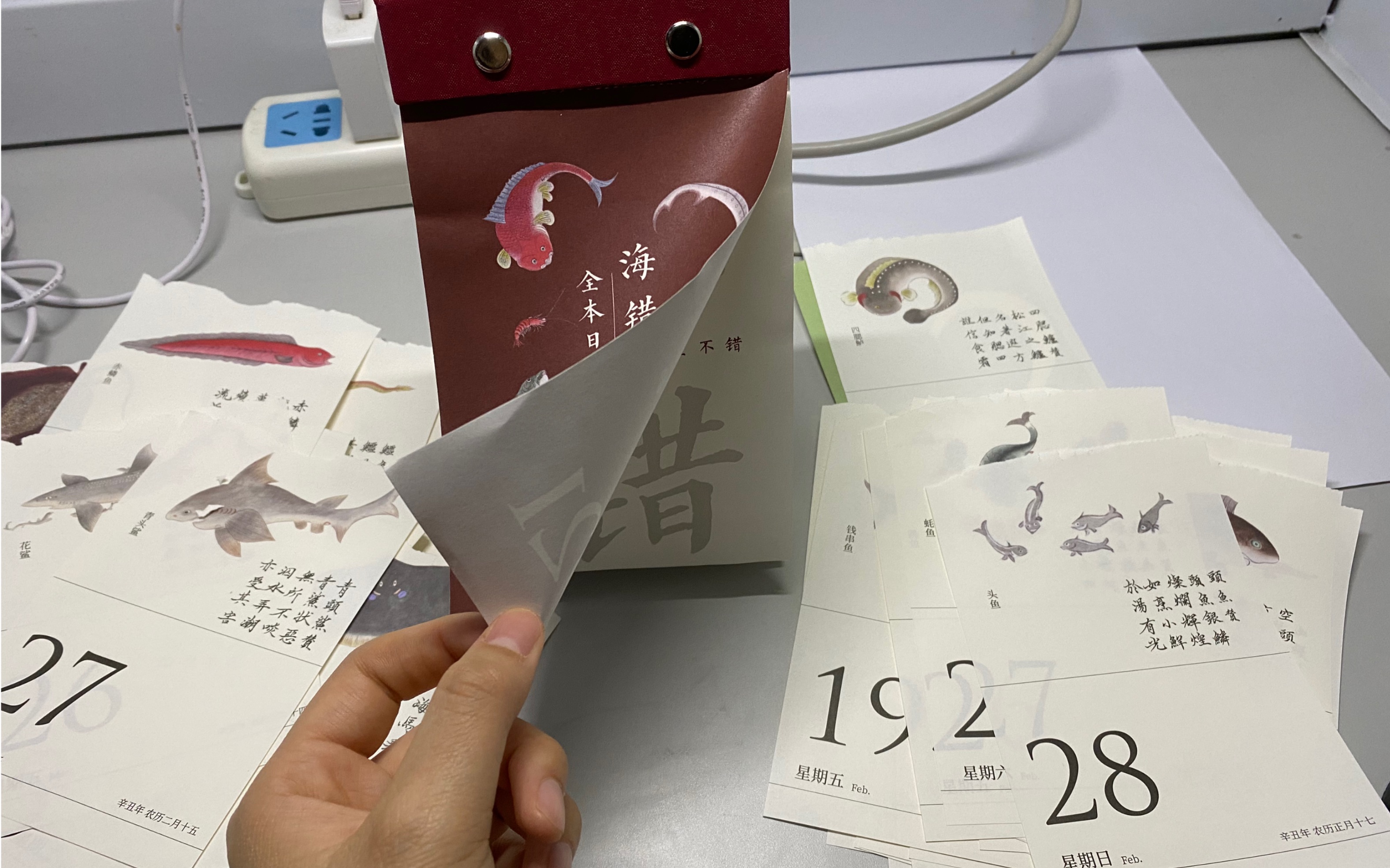 撕日历 去年同学送的日历 开学后把已经过去的时间一张张撕掉 声音...