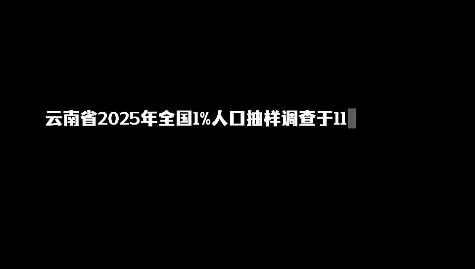 2025年全国1%人口抽样调查--调查员的一天