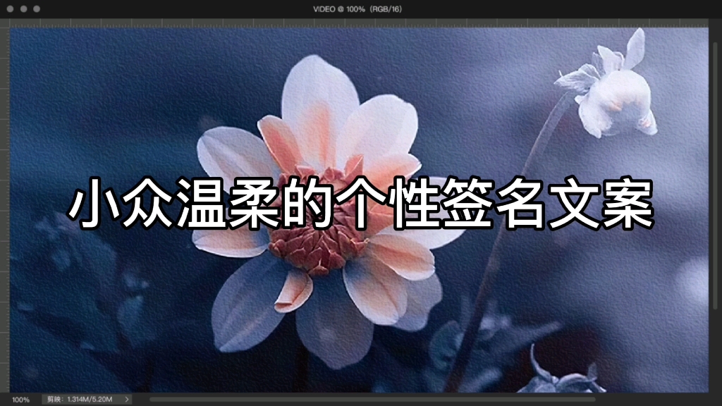 小众温柔的个性签名文案