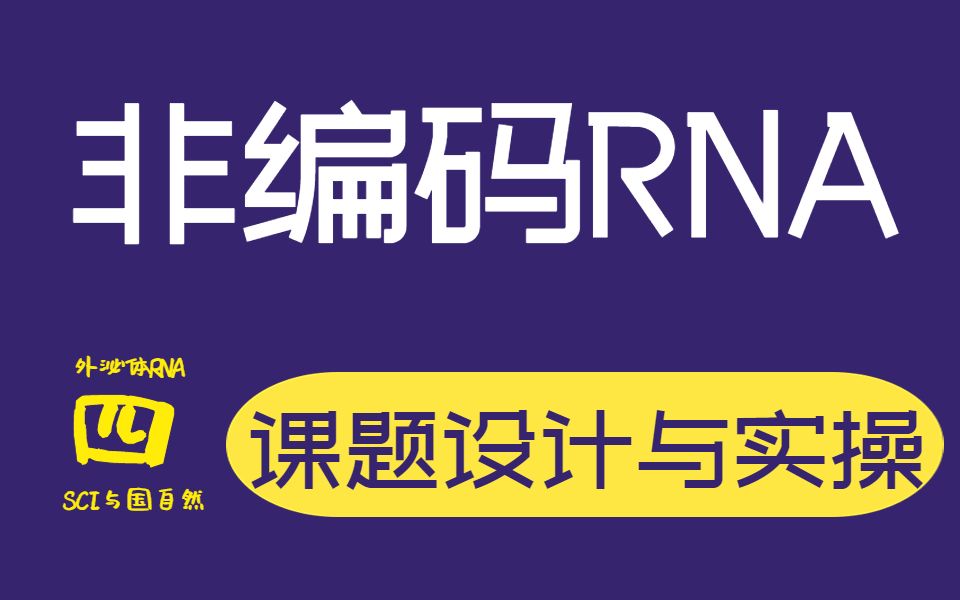 4. 外泌体RNA组学研究方案及SCI写作要点