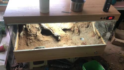 客户三个月前订的养乌龟的箱子。我今天才做好。我的拖延症也没谁了...