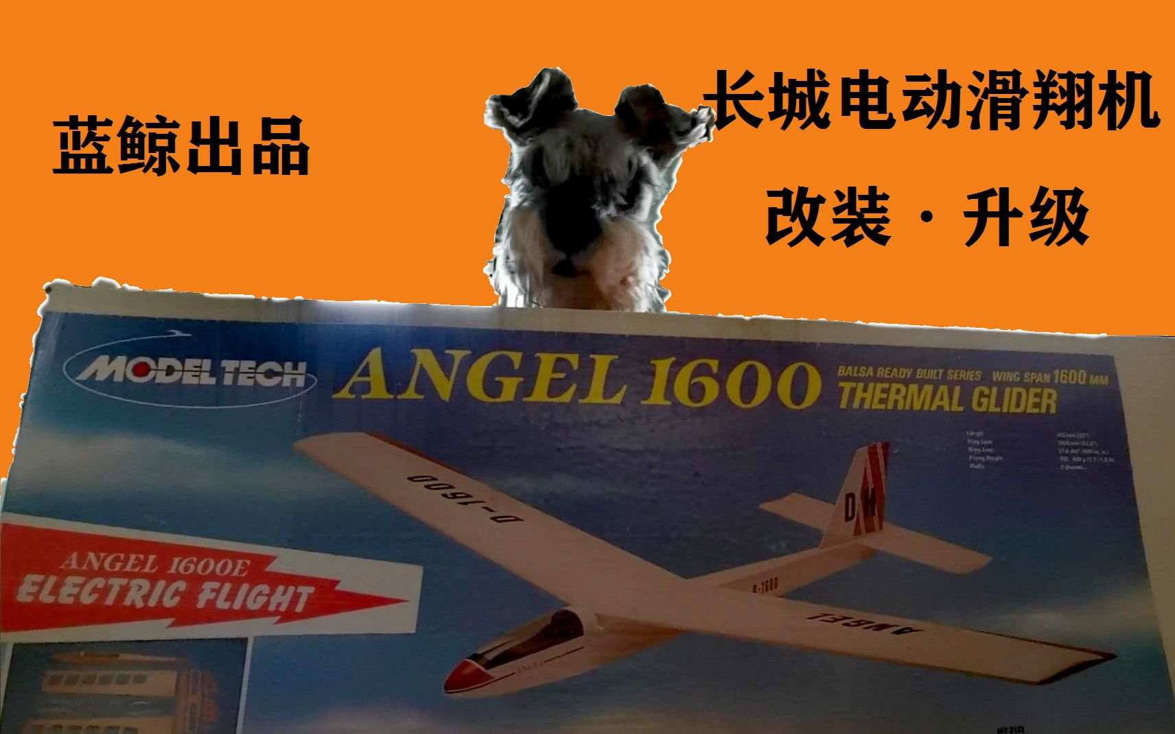 【航模】来制作一架滑翔机吧!第十集