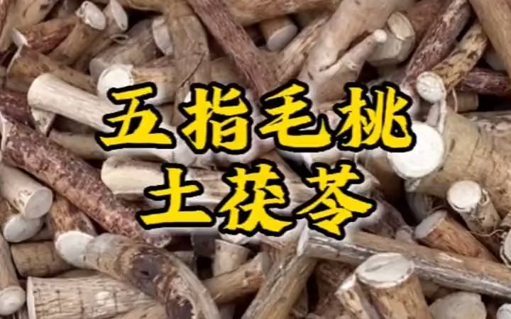 五指毛桃搭配土茯苓,秋冬常喝