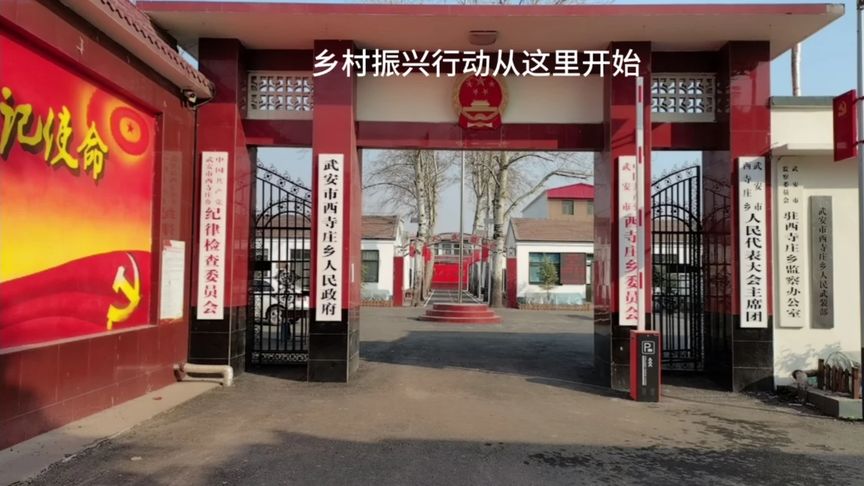 全面实现乡村振兴战略目标