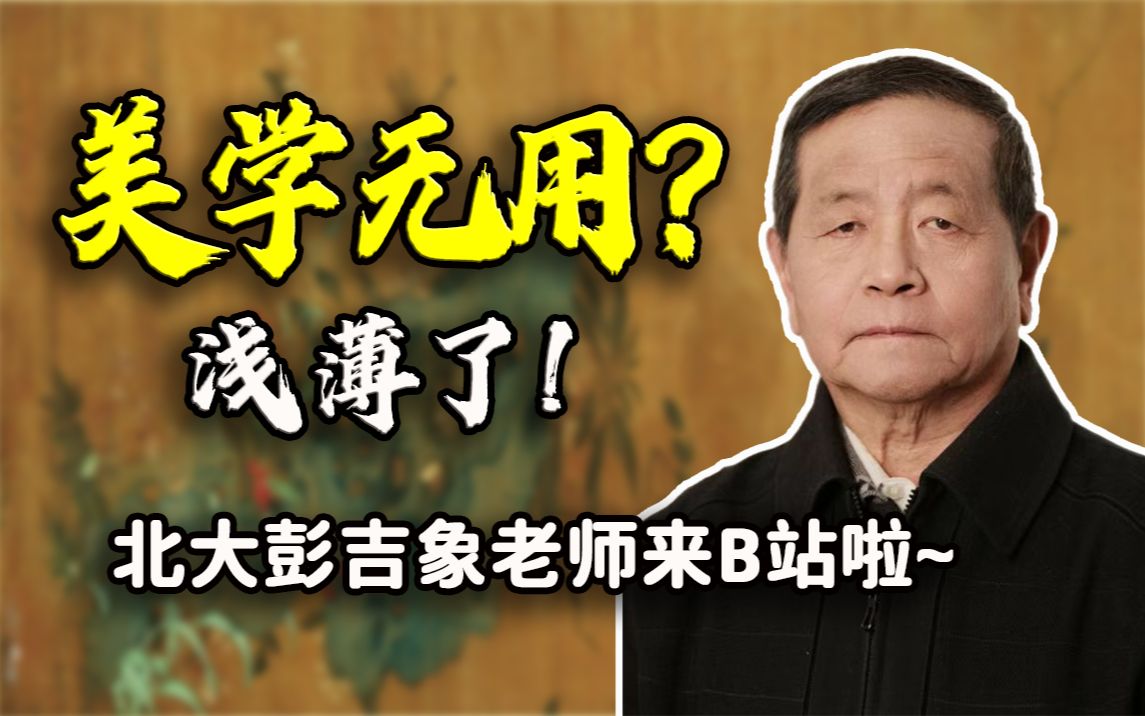 美,从来不是无用的【北大彭吉象】