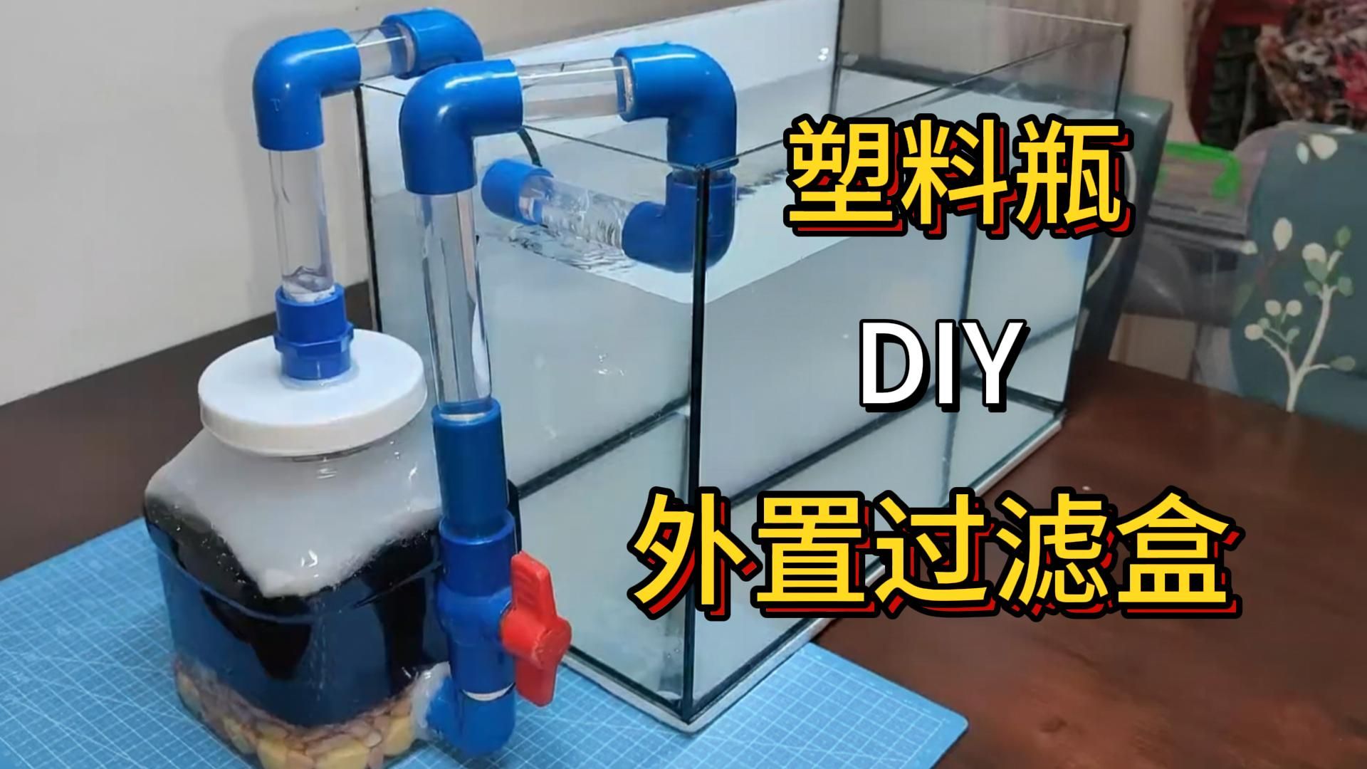 用塑料瓶制作一个鱼缸外置过滤盒!