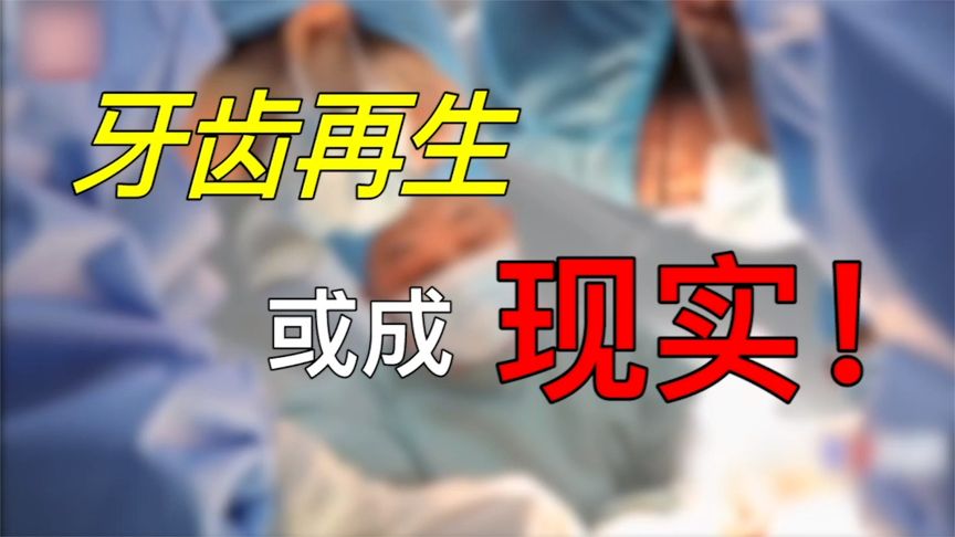 牙齿再生或成现实!59岁女子参与新药试验后长出牙槽骨