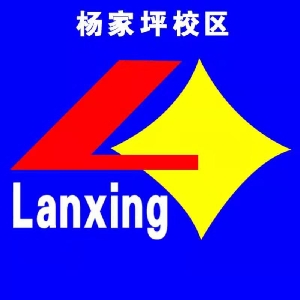杨家坪蓝星 