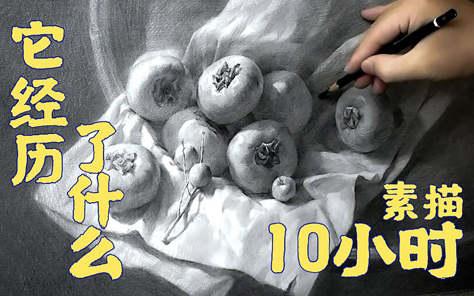 【茄子素描】一幅画的从无到有的过程,超详细讲解!