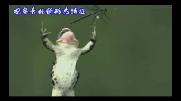 比较两栖动物和爬行动物