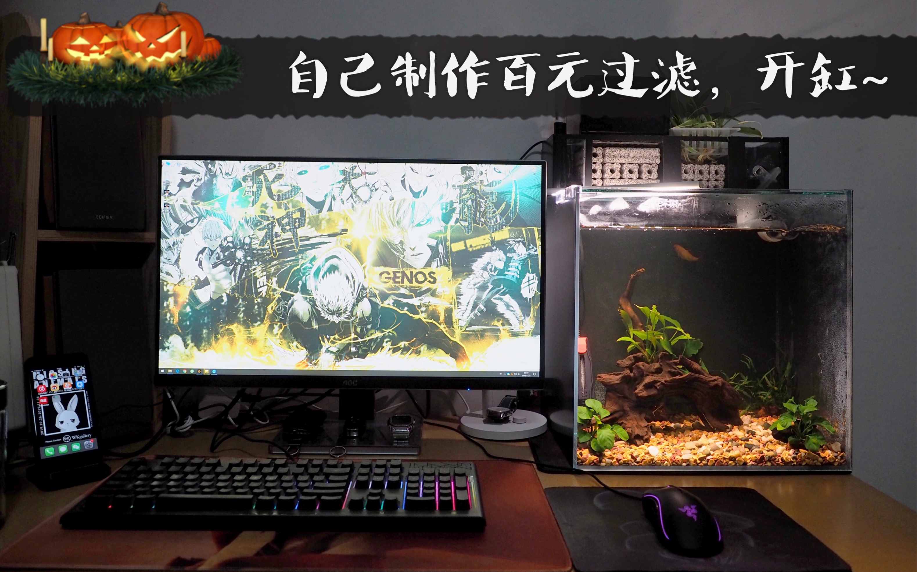 【新手养鱼开缸】写字台精品小鱼缸分享,百元过滤亲手制作,性能观赏...