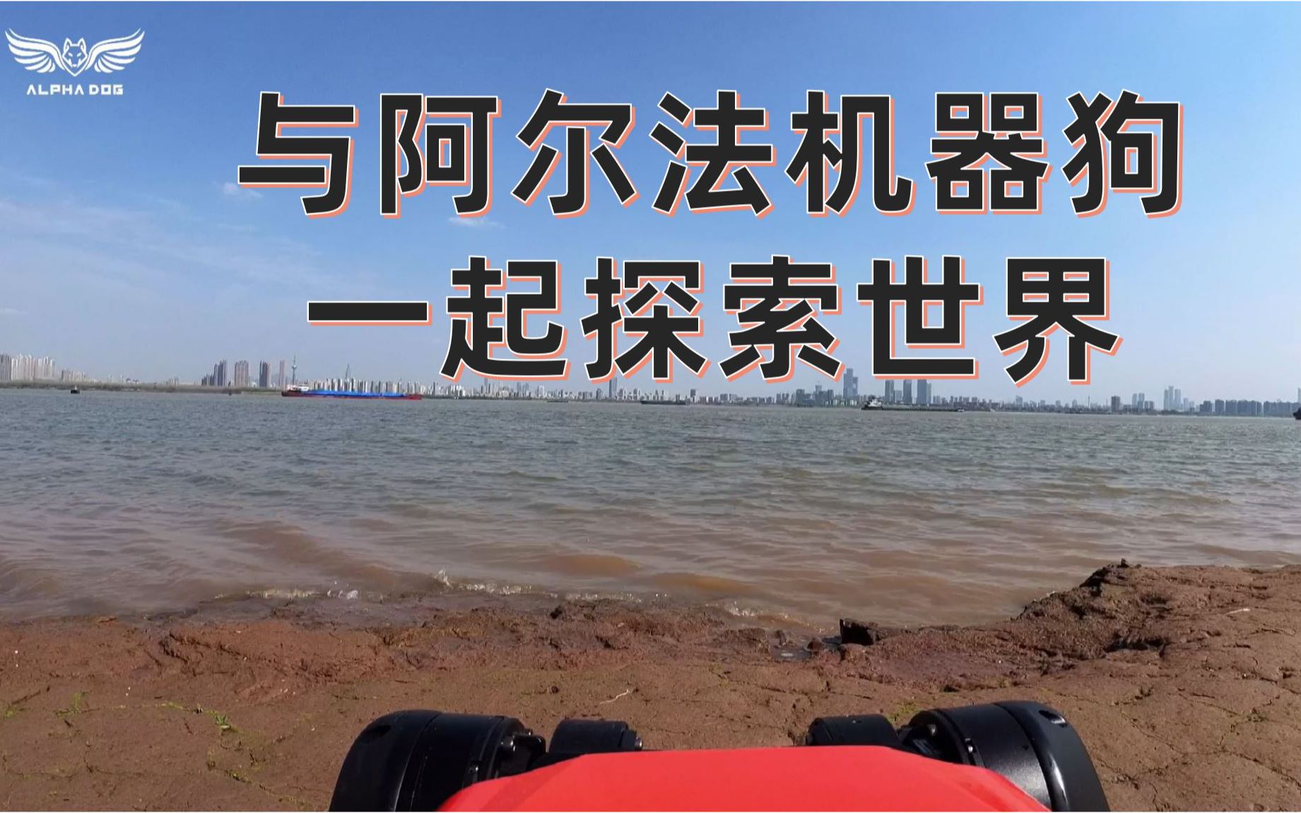 与阿尔法机器狗一起探索精彩世界