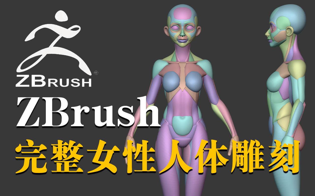 标准女性人体模型雕刻制作 你最爱学的女性人体结构建模!【zbrush...