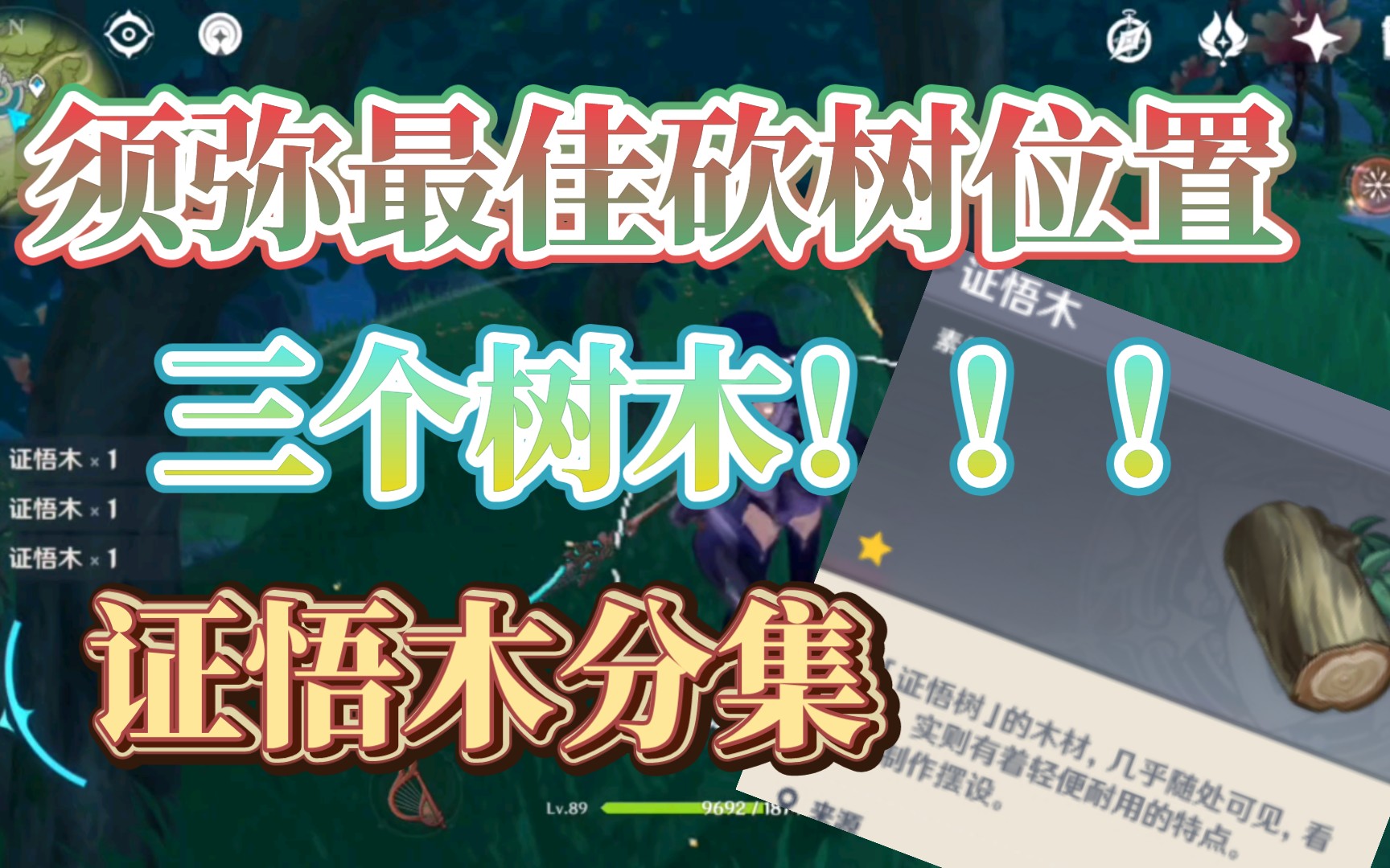 【证悟木】【须弥砍树最佳路线】【3.0家具】【辉木】【业果木】禅...