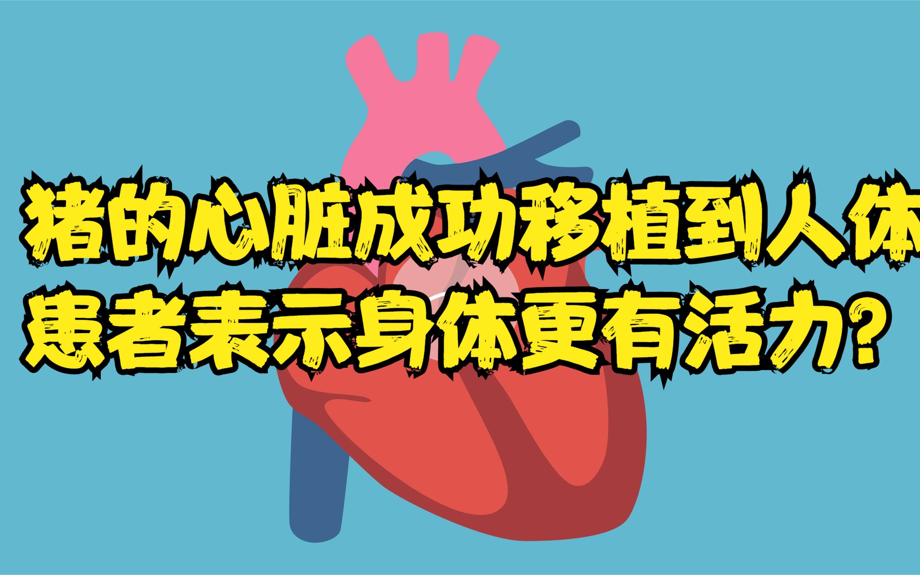 全球首例:将猪的心脏成功移植到人体,患者表示身体更有活力?