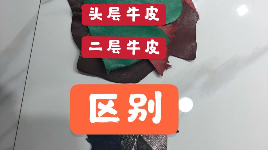 2分钟学会如何区分头层牛皮和二层牛皮