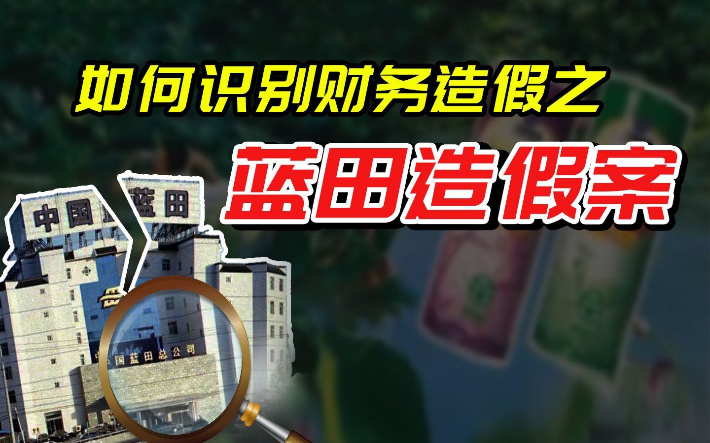 如何识别财务造假之蓝田股份造假案