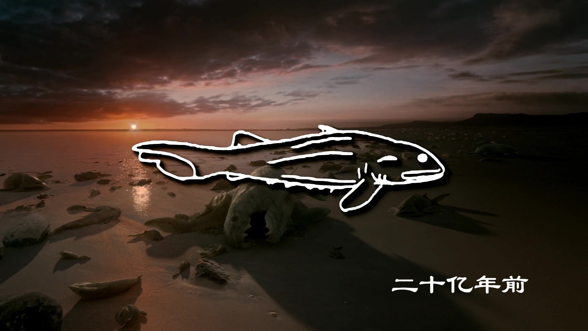 40亿年的人类起源生命进化史