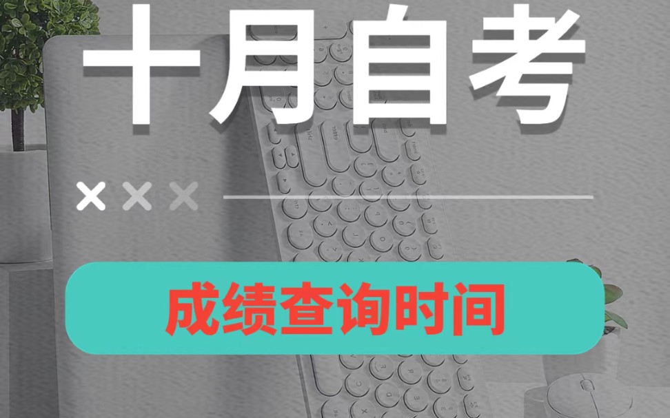 各省2022年10月自考成绩查询时间