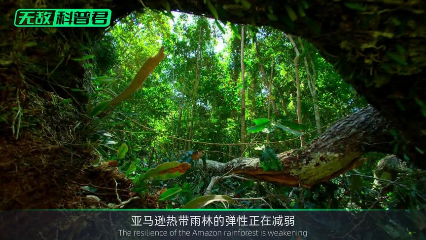 中国沙漠变森林!巴西雨林恐要变草原:极端天气根源已找到?