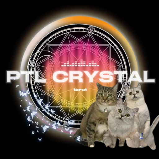 长着兔耳朵的猪 