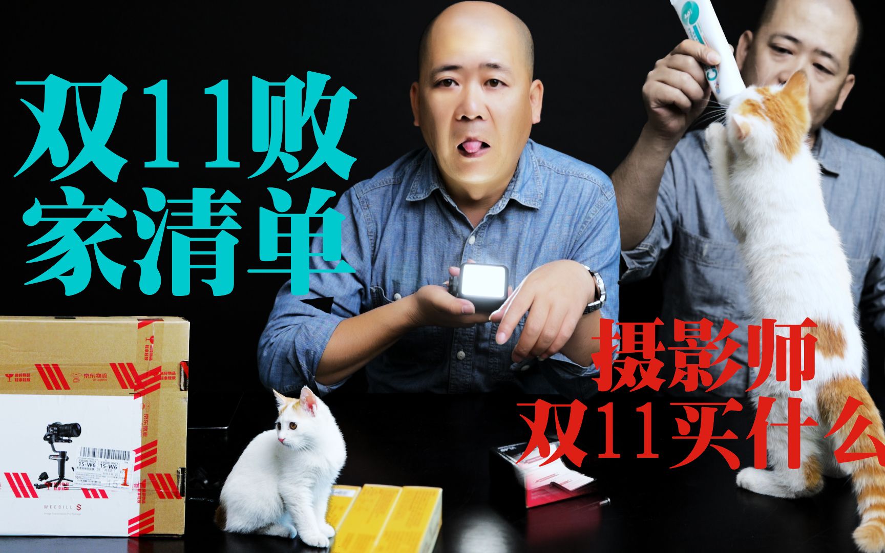 双11败家清单 智云WEEBILLS稳定器 移动硬盘 小灯 以及猫主子的零食