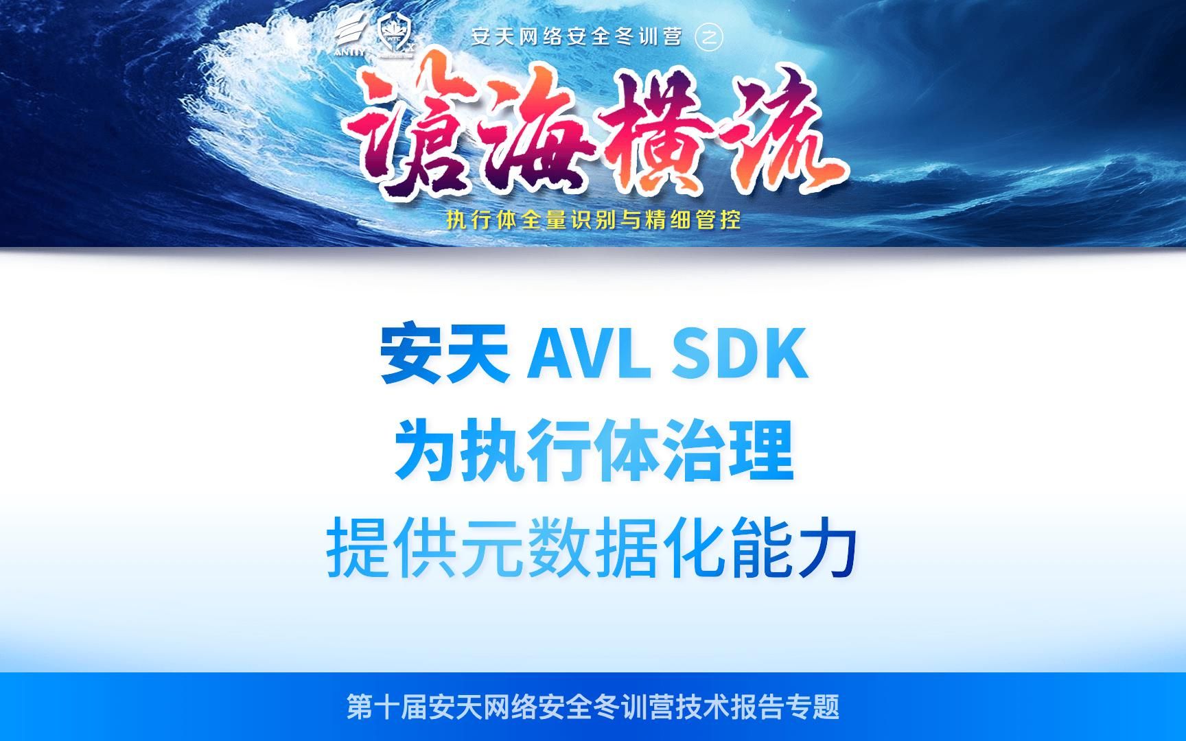 安天 AVL SDK 为执行体治理提供元数据化能力