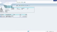 会计凭证录入 SAP FICO