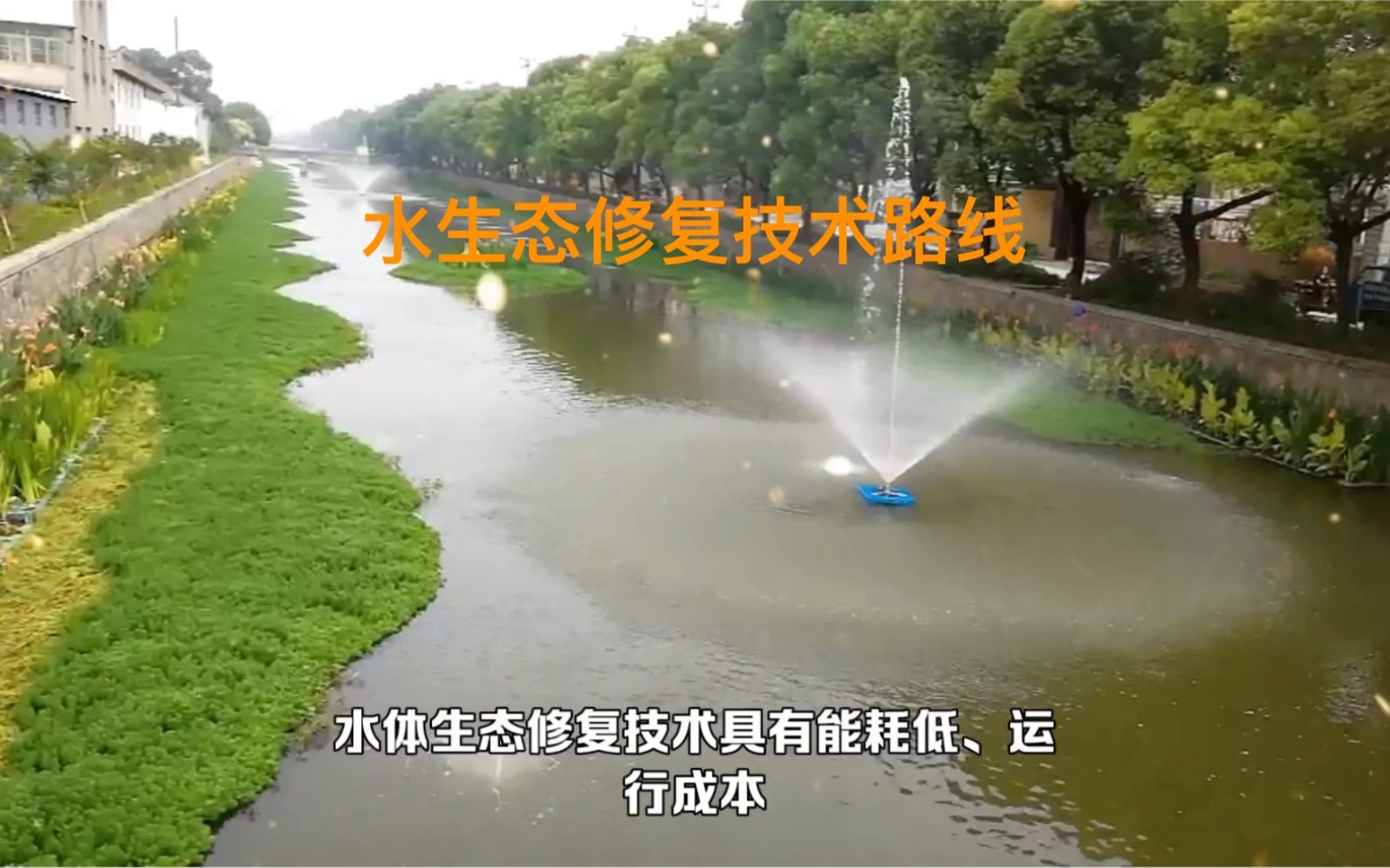 河道治理水生态修复技术路线