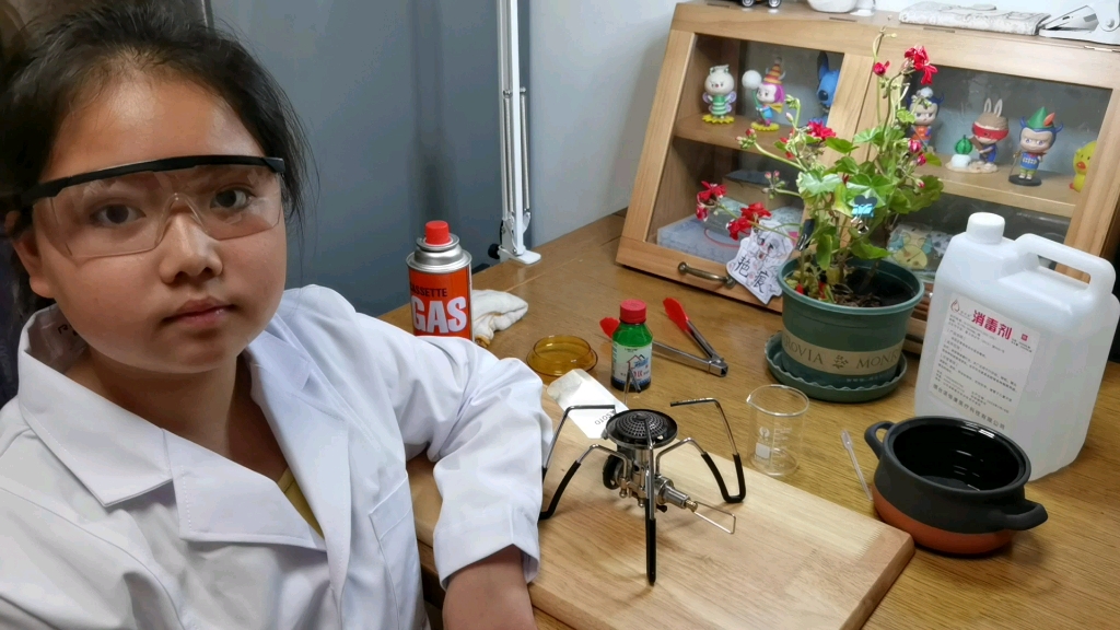 植物的光合作用实验