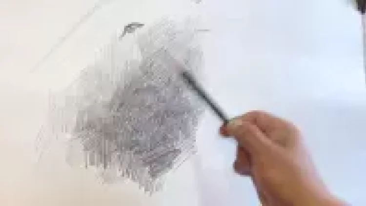 画素描如何排线