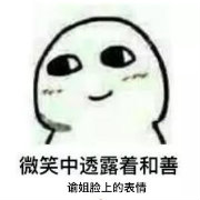 泽里格 