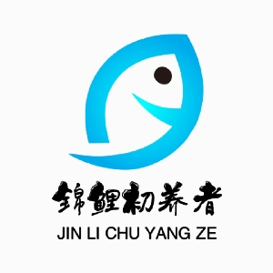 锦鲤初养者 