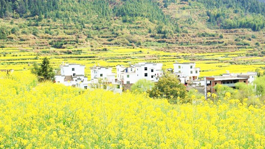 江西南昌南新乡2017党建汇报宣传片,很不错乡镇工作汇报形式!