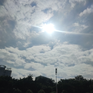 自我状态 