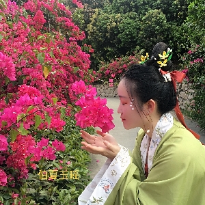 伯夏玉瑶 