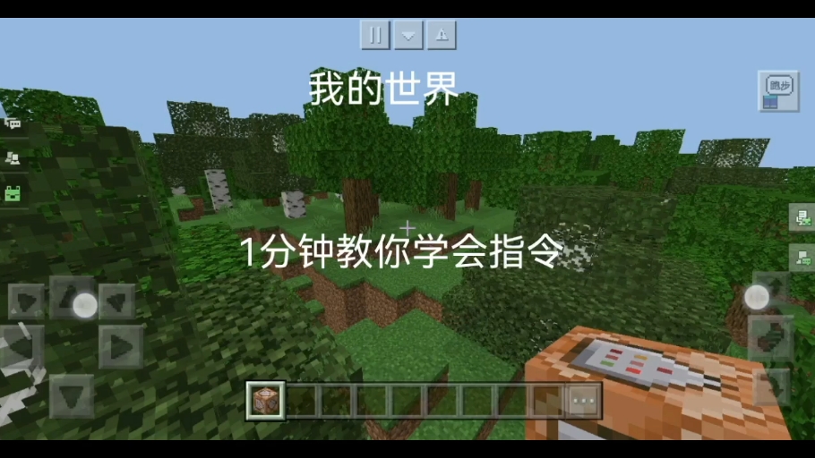 [指令学习]locate定位结构与群系,功能教学(本期视频比较水,为这个指令...