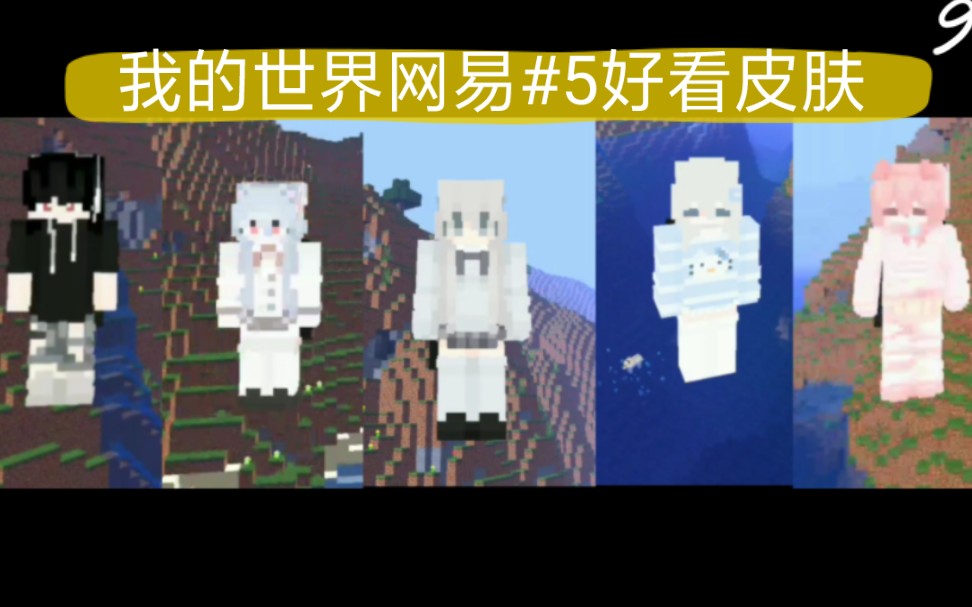 我的世界网易Minecraft好看皮肤#5