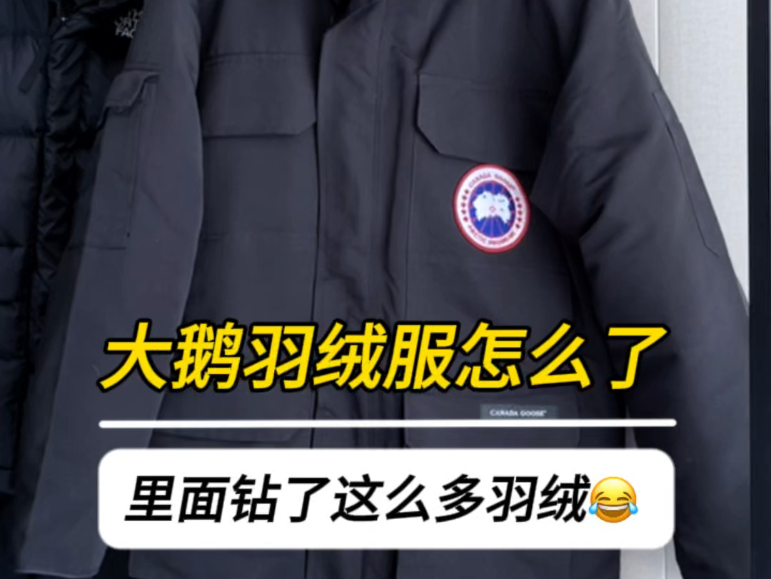 ‼️羽绒服里面跑毛怎么处理/解决方案来了ߑ� #大鹅羽绒服 #羽绒服...