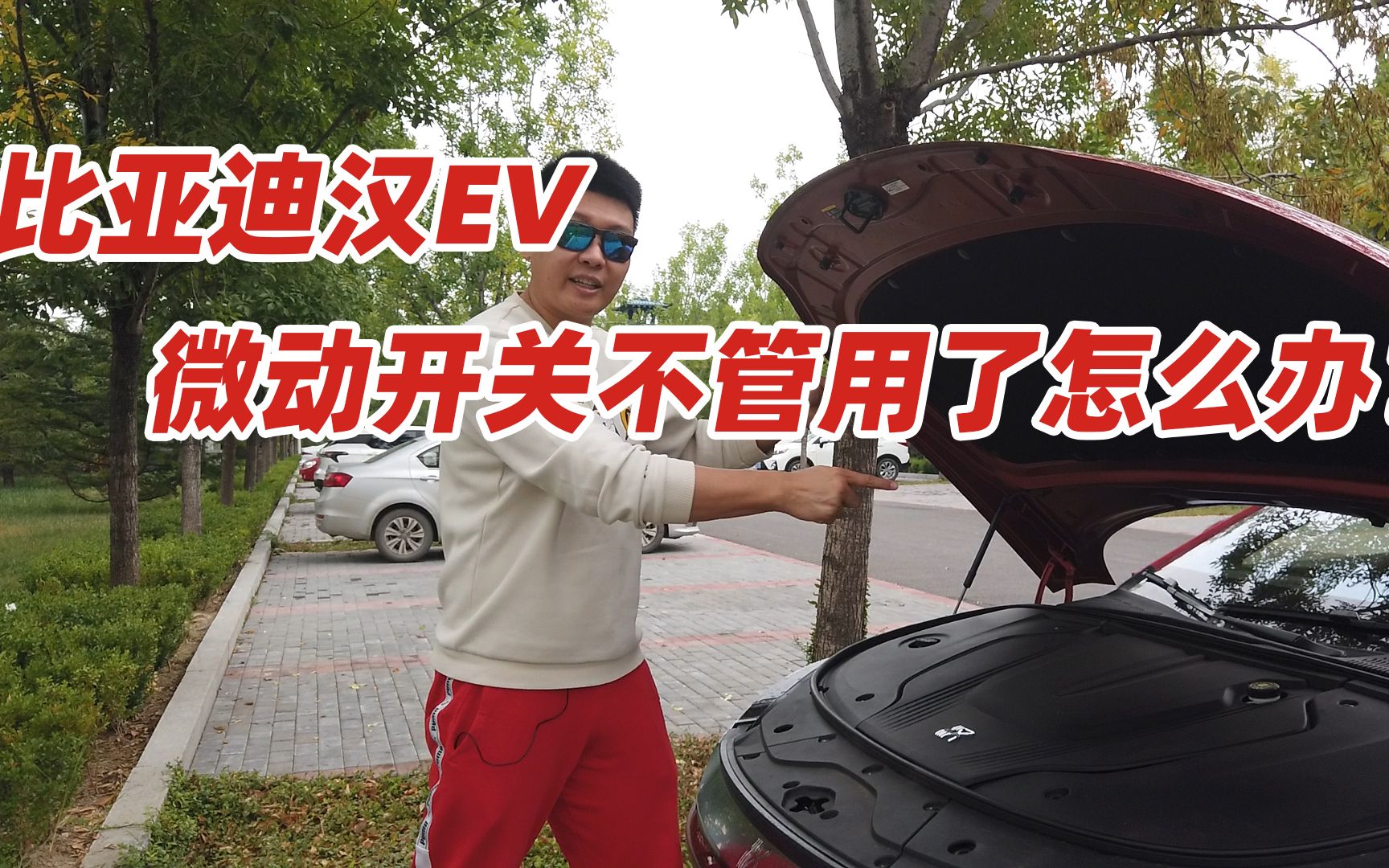 【唯电车主】比亚迪汉第一个常见故障出现了,我们打不开车门了