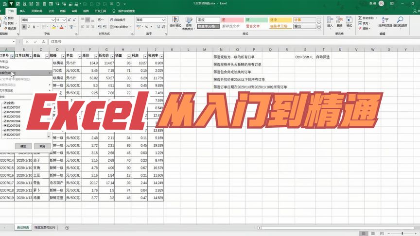Excel从入门到精通 1.22自动筛选