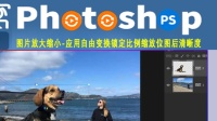 ps图片放大缩小视频:应用自由变换锁定比例缩放位图后清晰度